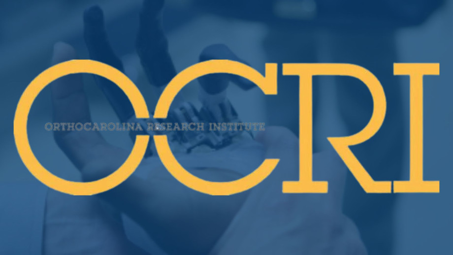 Celebrating National Nonprofit Day with OCRI: Highlighting Our