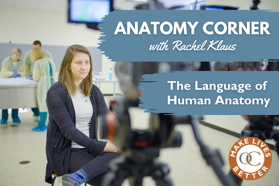 Anatomy Language | How Body Parts Are Named | Orthopedic Blog